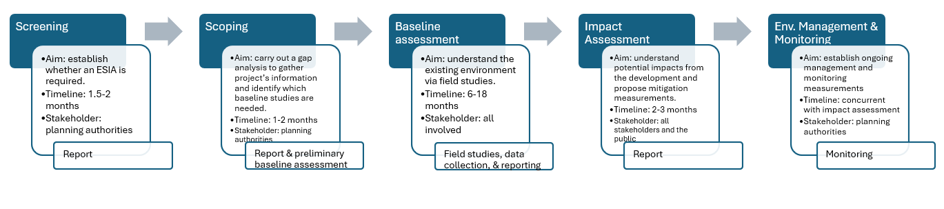 Esia Process Overview The Environment Consultant