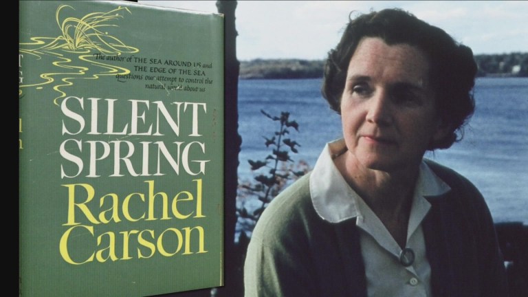 Silent Spring: Rachel Carson’s Impact on Environmental Law – The ...