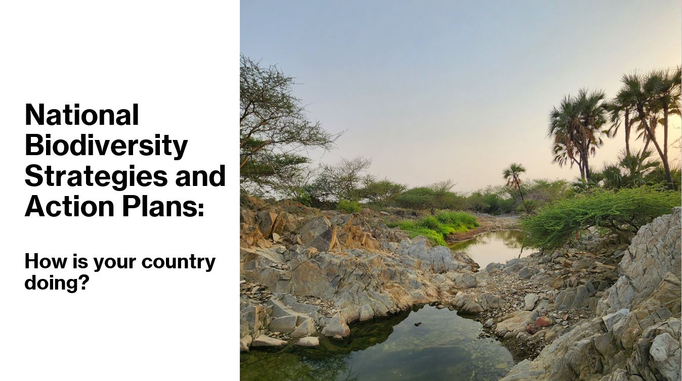 National Biodiversity Strategies and Action Plans (NBSAPs) – The ...